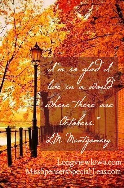 Autumn my Favorite Time of Year