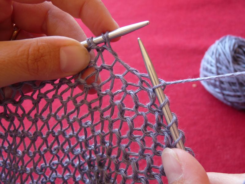 French Vocabulary Illustrated: maille