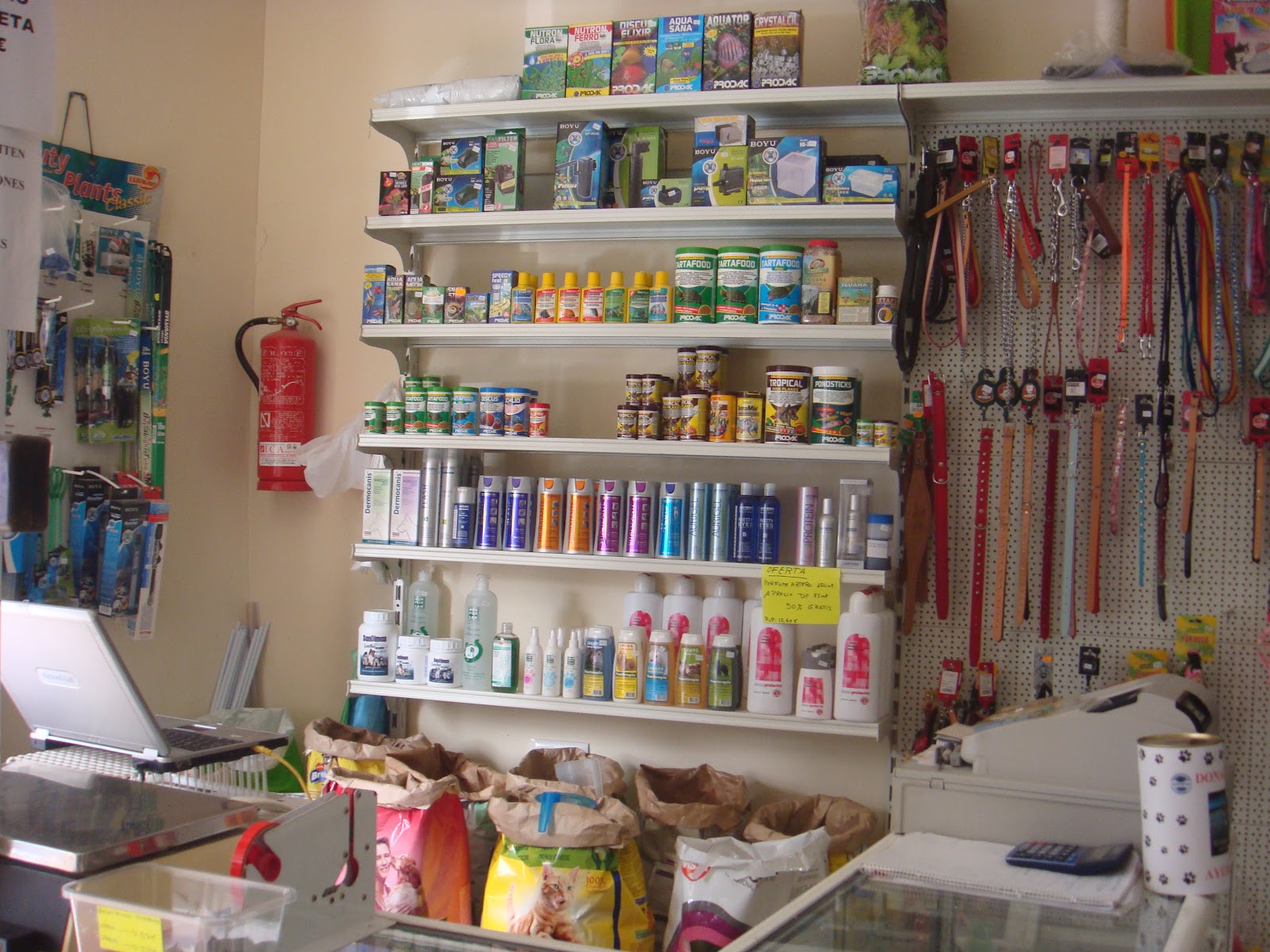 MASCOTAS TIENDA DE ANIMALES, PAJARERIA Y PELUQUERIA CANINA: TIENDA