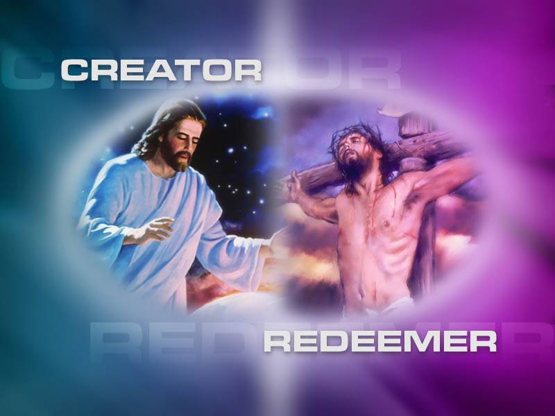 Finding Rest Under The Wings Of God ~ dailyJesus