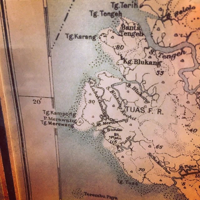 wild shores of singapore: Singapore's last Western reefs at Tuas ...