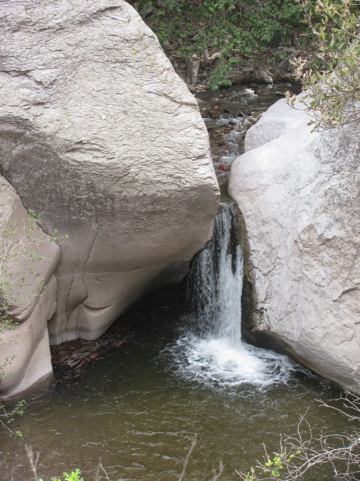 Backyard Excursions: Return to Nature: The Catwalk National Recreation ...