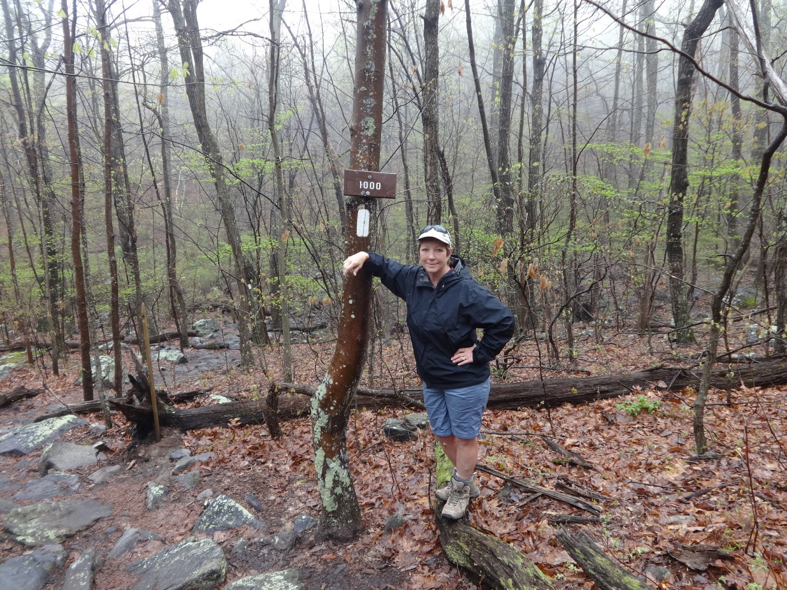 Appalachian Trail Section hiking: Snickers Gap to Harper's Ferry, Virginia