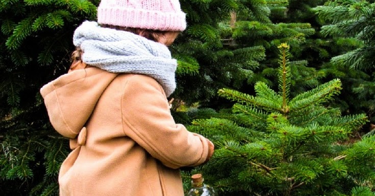 CHRISTMAS: 10 Ways to get into the Festive Spirit | Treasure Every Moment