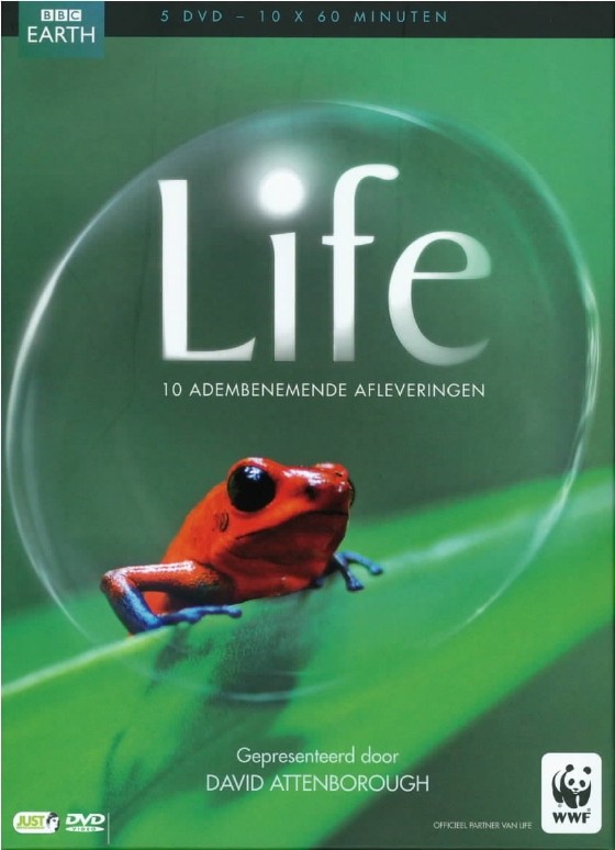 Pluk hier je Zonnestraaltjes: Leuke Dingen