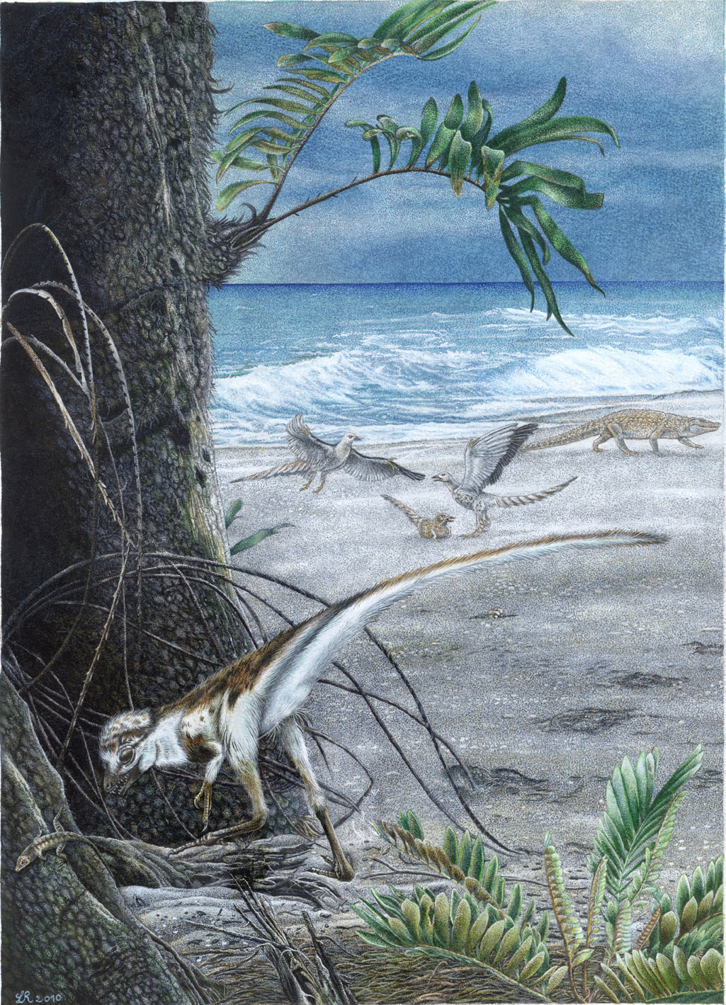 The Theropod Database Blog: And the best paper written about a theropod ...