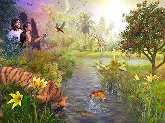 STEEMCHURCH: THE PERFECTION OF CREATION — Steemit