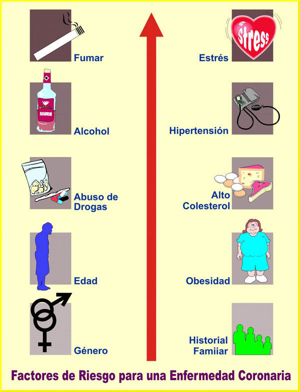 !CUIDA TU CORAZÓN, PREVIENE ENFERMEDADES Y SALVA TU VIDA!: FACTORES DE ...