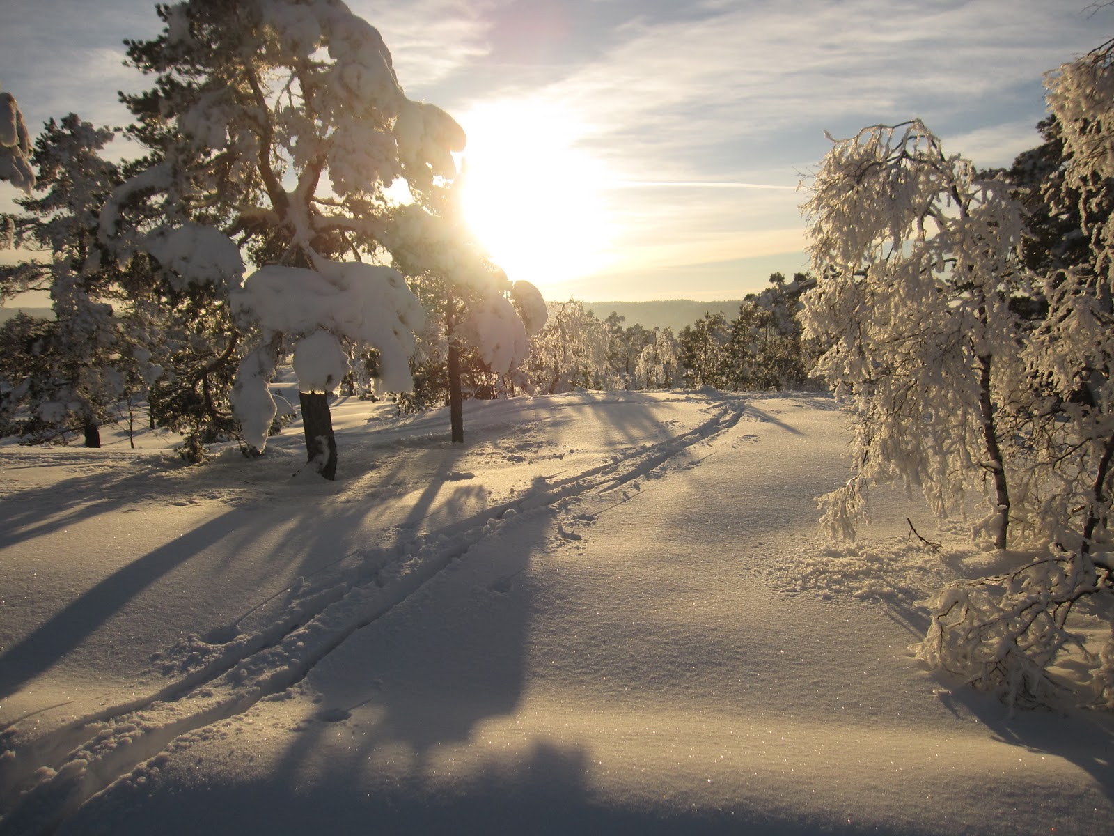 gjerstadfotoklubb: Vinterbilder