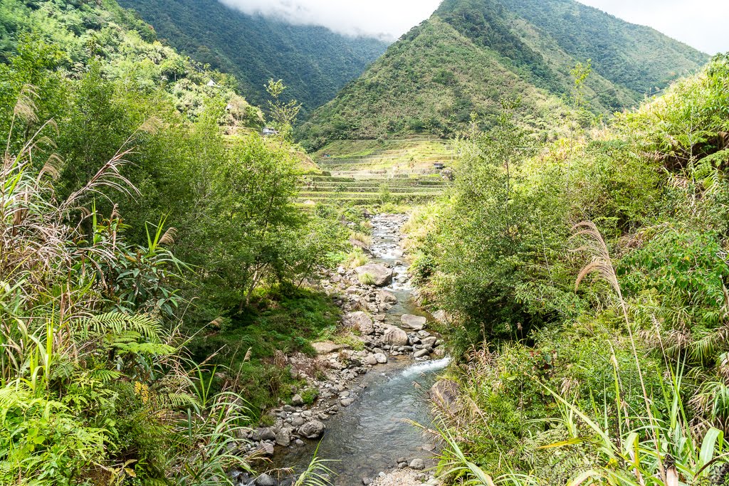 De loin en large: septembre 2018