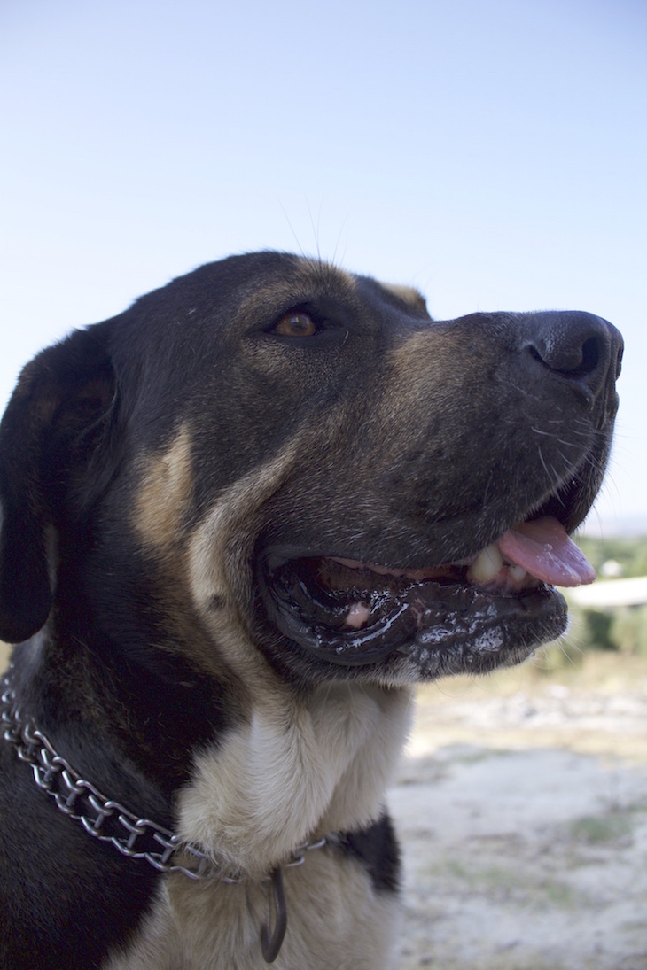 THE FASHIONAMY by Amanda Fashion blogger outfit, lifestyle, beauty ...