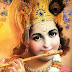 Shree Krishna Pranami Dharma: meher sagar