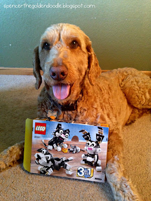 Spencer the Goldendoodle: Lego Dog