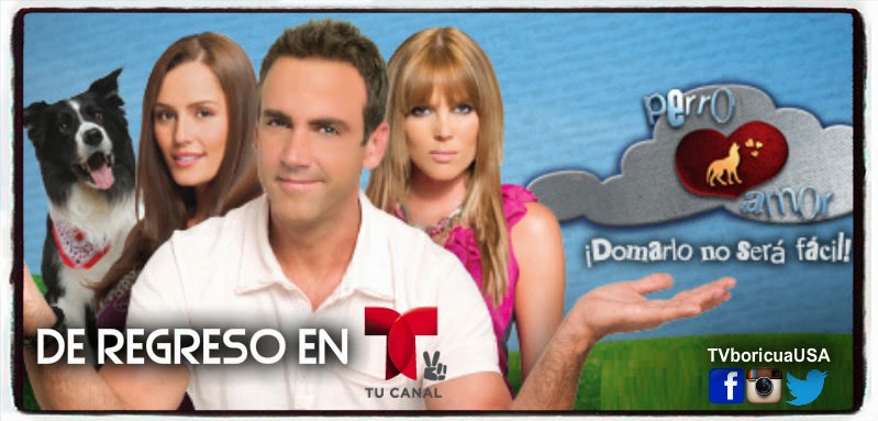 Telemundo PR comenzó a re-transmitir, "Perro amor"