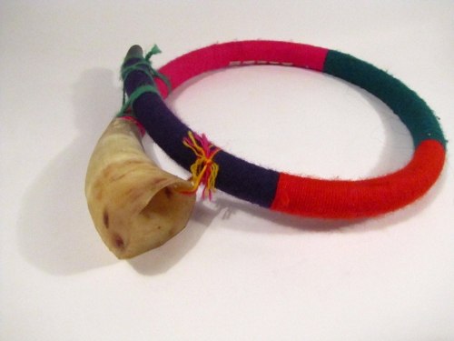 Experiencia Sonora: Instrumentos