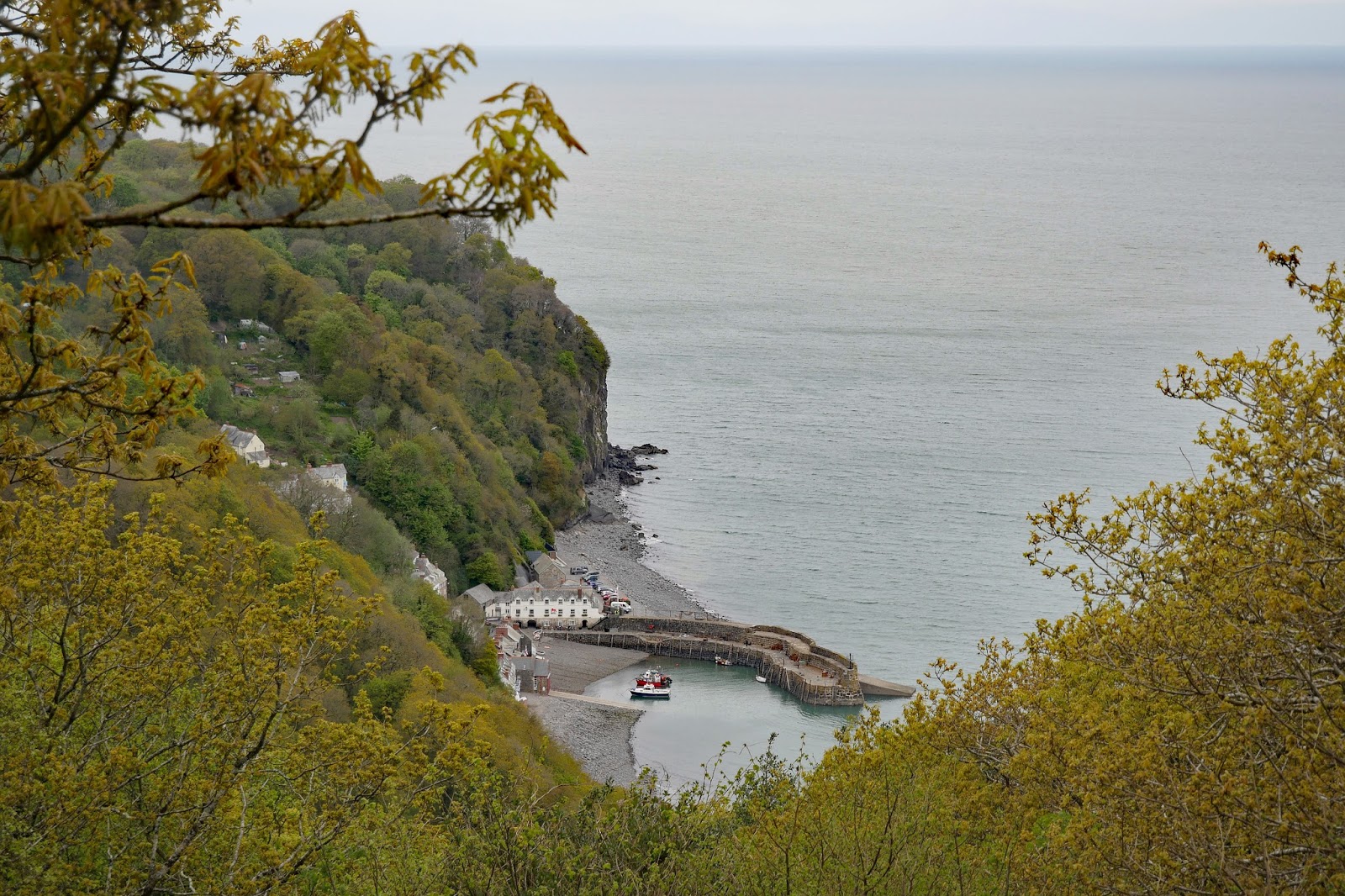Walking in the country: Clovelly to Peppercombe (South West Coast Path 89)