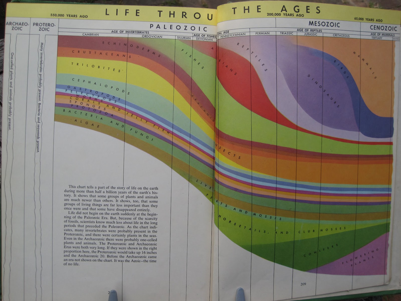 visualizing evolution, done!