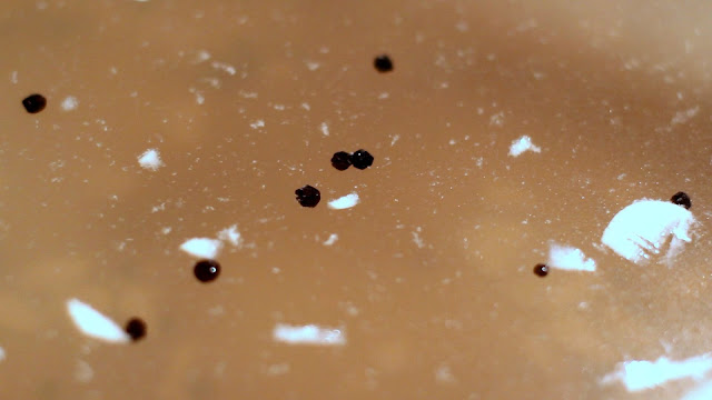 bake your slovak roots / slovenské korene: Smoked Bacon / Údená Slanina