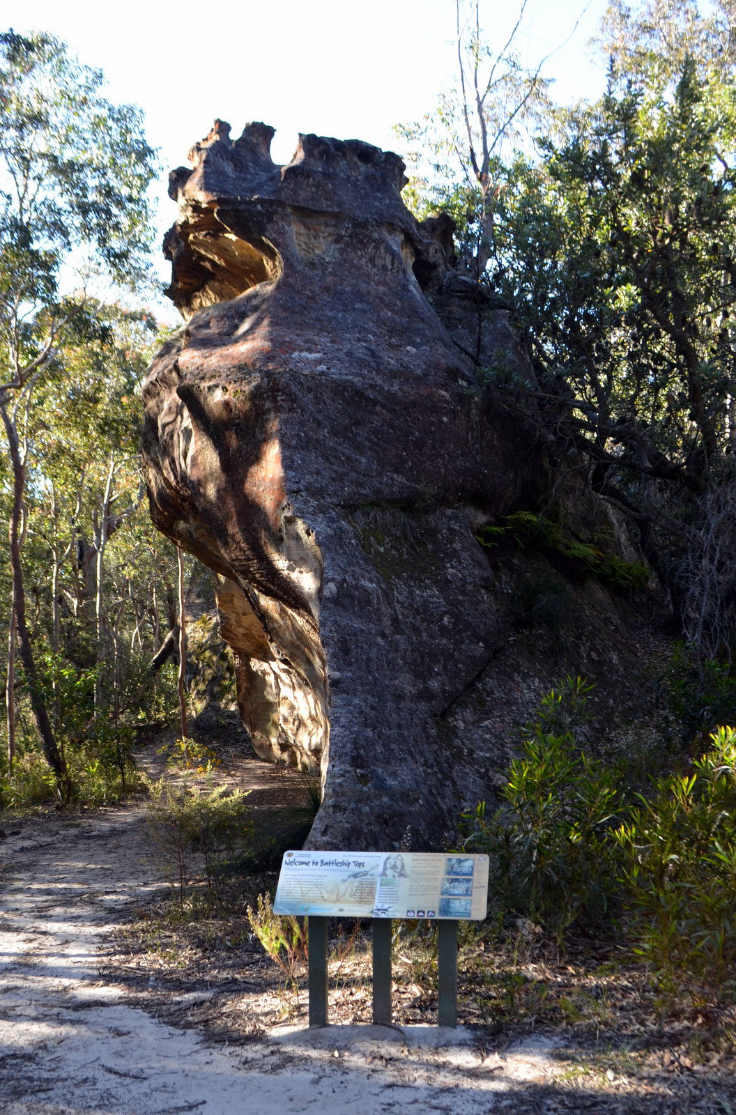Onedaytech: Box Ridge - Bridle Track - Pyramul Ride