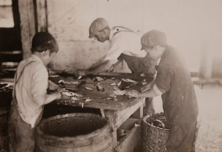 Where Food Comes From: Child Labor in the Early 20th Century
