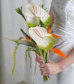 Bouquet Bridal: Anthurium Wedding Bouquets