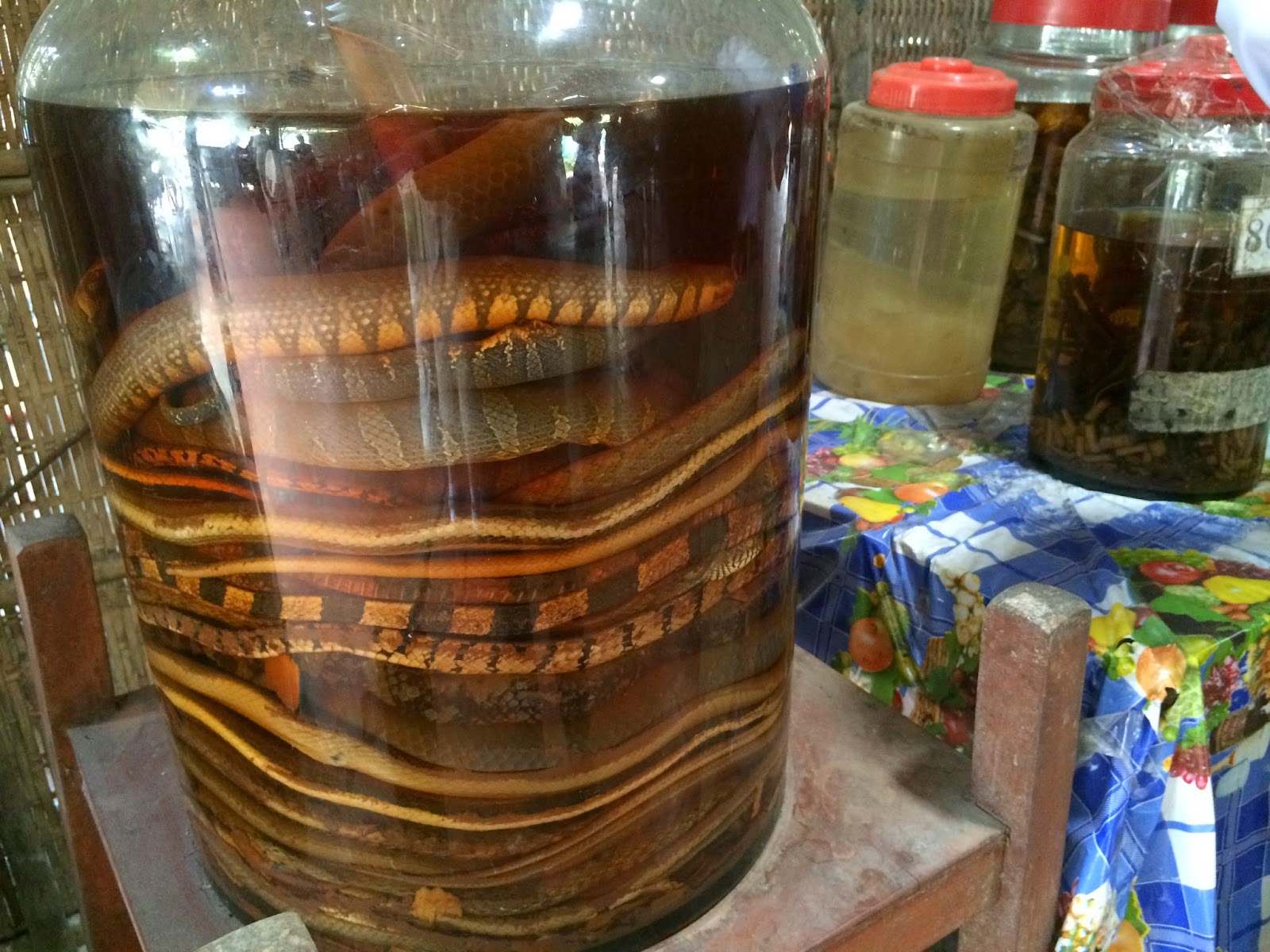 Waste Biorefinery: Vietnamese Rice Wine with Snake Taste