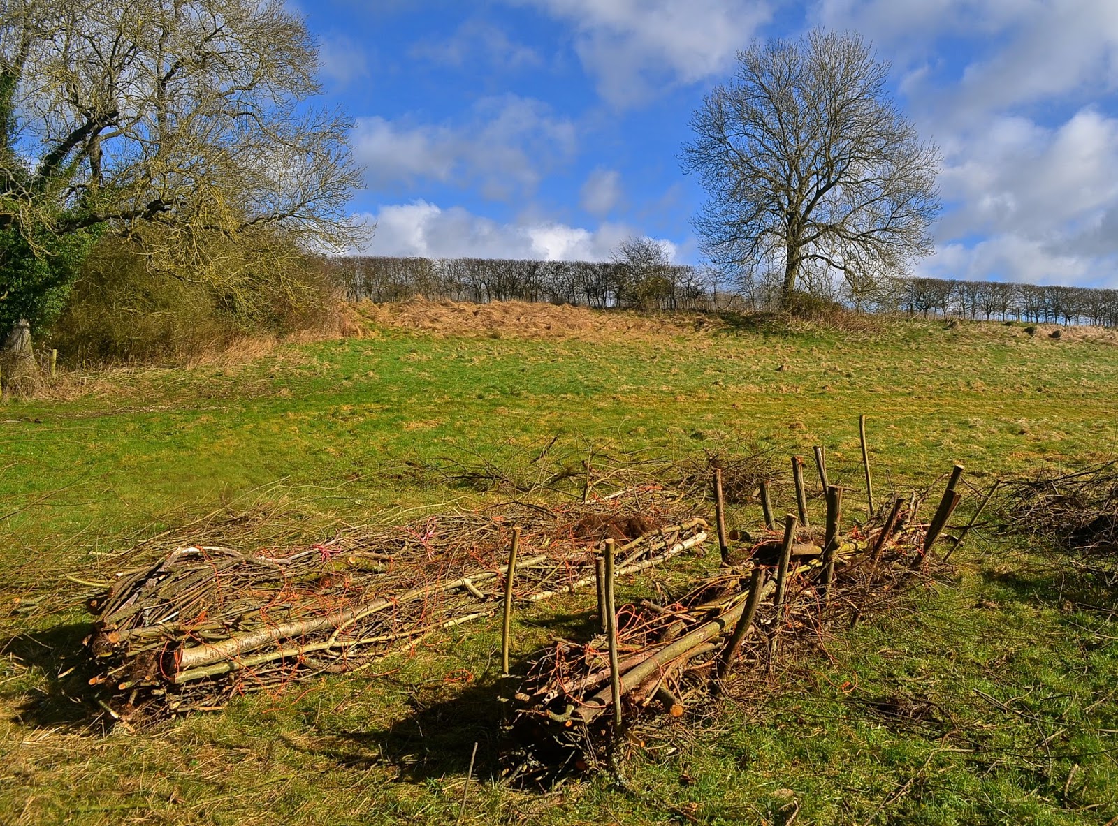 Countryside - 'a behind the scenes view': Mega Fascines!