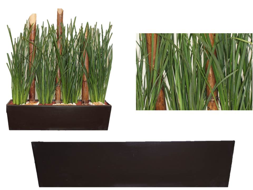 Espacios Naturales: Cod:008 Lirio Persa