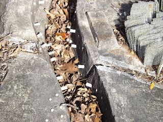 Urban Exploration: Mississippi River Basin model