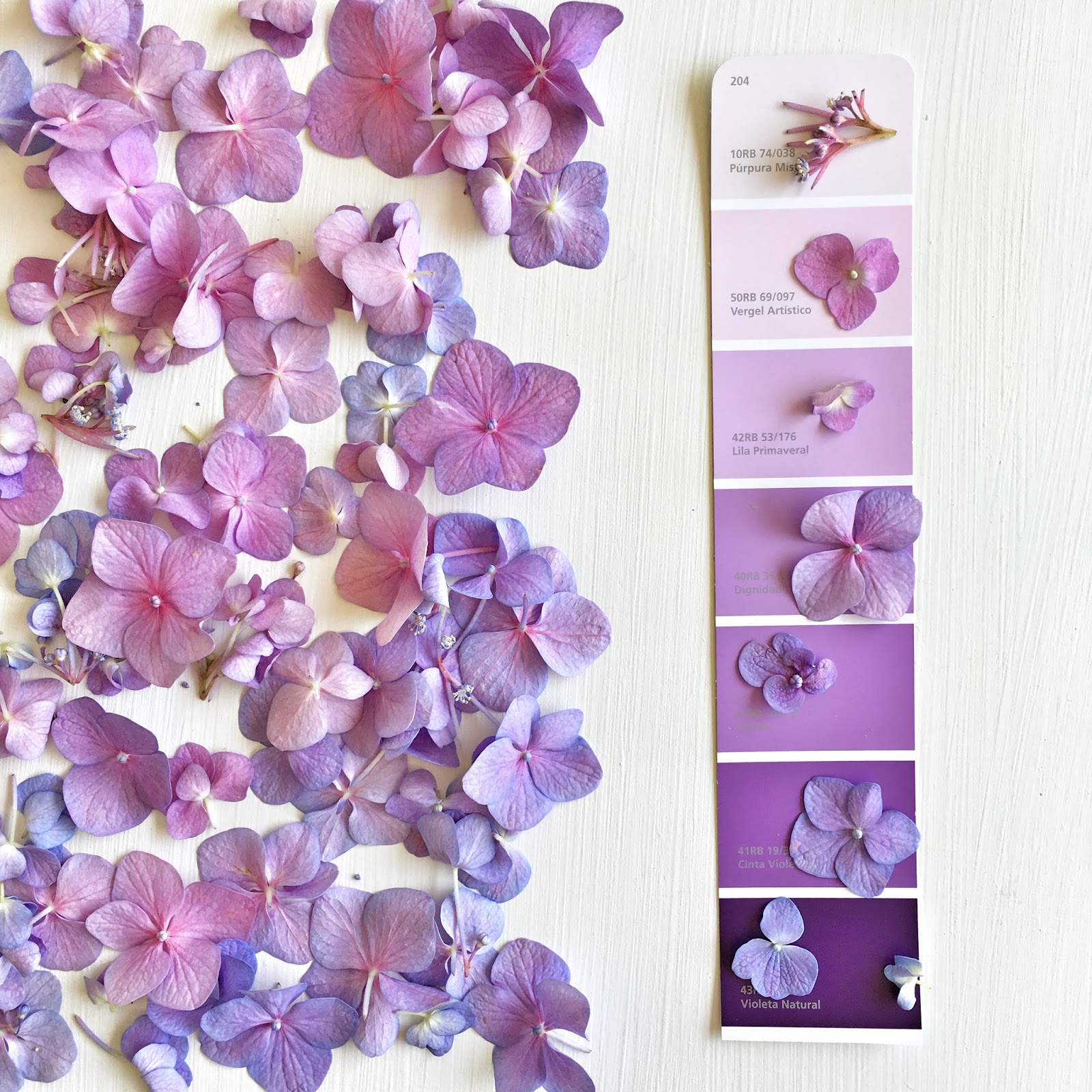 El violeta en la decoración / Sólo para Mí