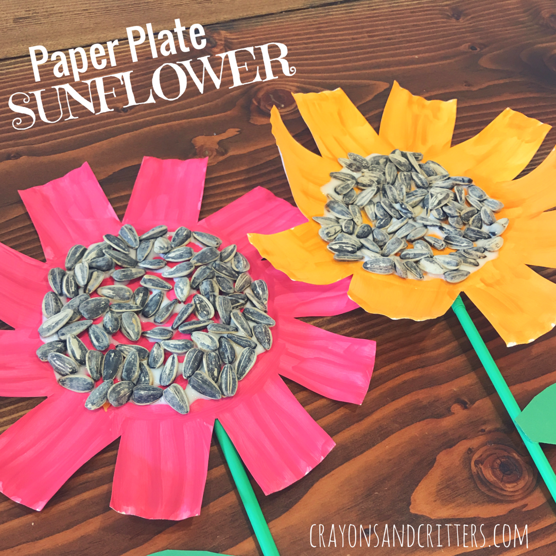 Crayons and Critters: Paper Plate Sunflowers