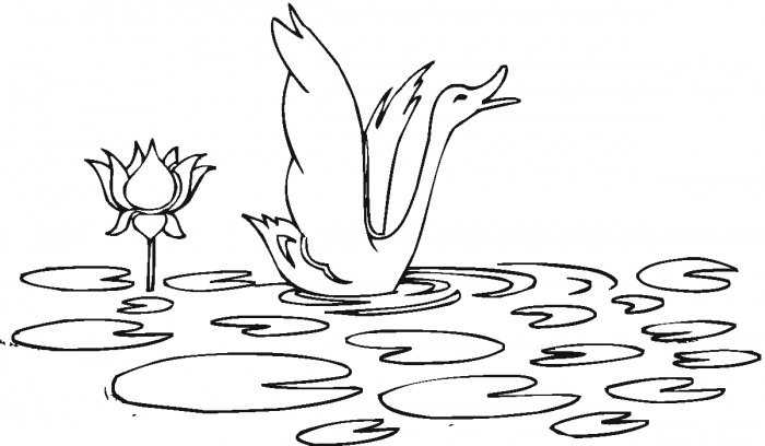 universul copiilor: Imagini de colorat lebede