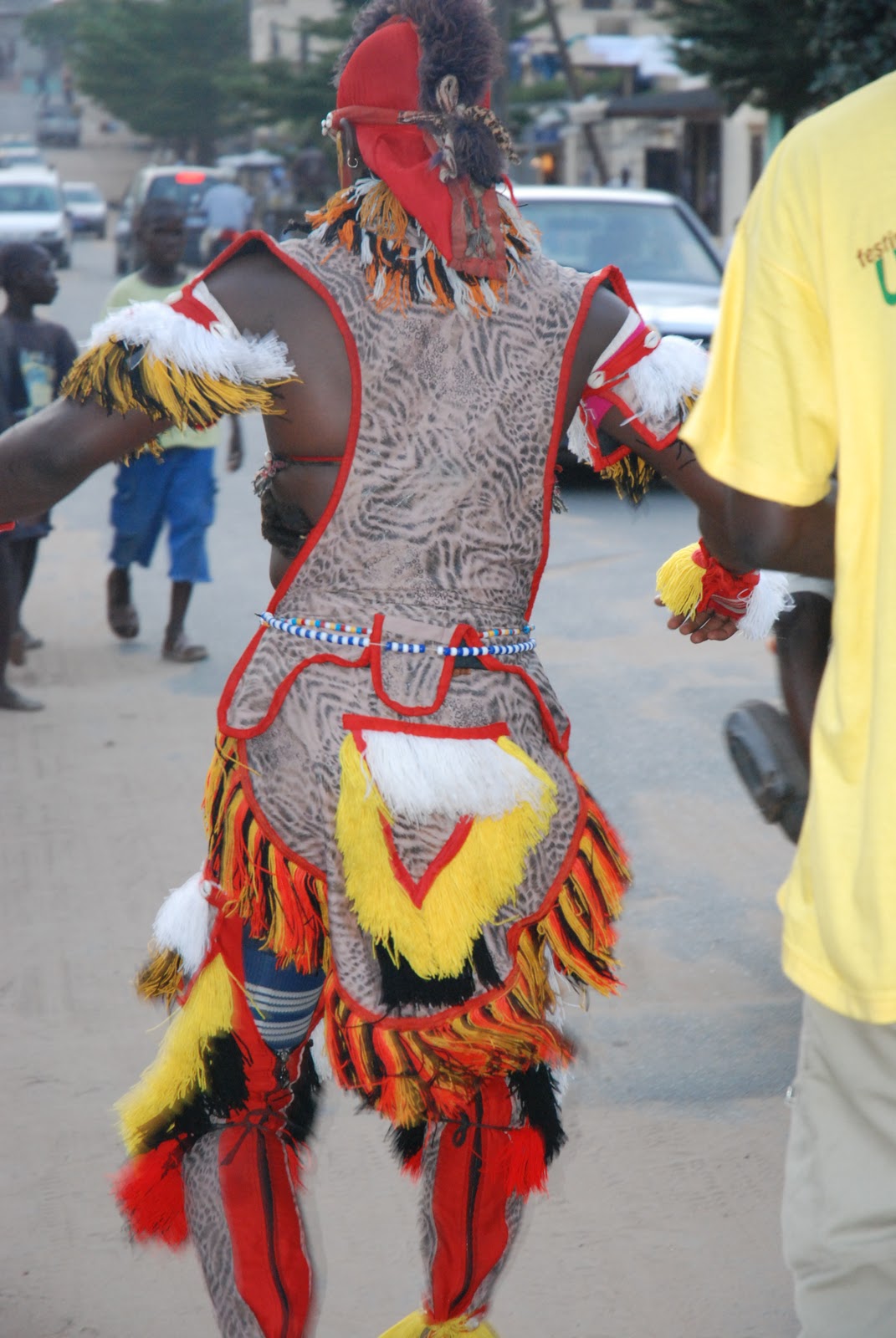 Sénégal : le "SIMB" ou le faux Lion