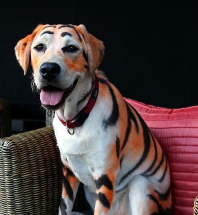 "Sampath Speaking" - the thoughts of an Insurer from Thiruvallikkeni ...