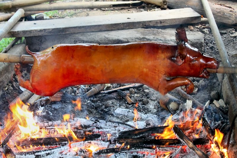 Life in these mountains | dead-hungry