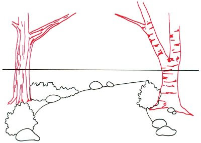 Cartoon Pictures: How to Draw a Rural Lane in 5 Steps