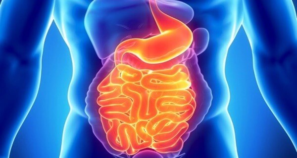 How To Successfully Remove Toxins In Your Colon