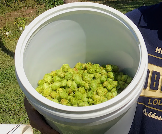 Oshkosh Beer: The Roots of Big Ed's Hopyard Ale