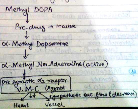 Methyldopa | Introduction | Classification | Mechanism | Indication ...