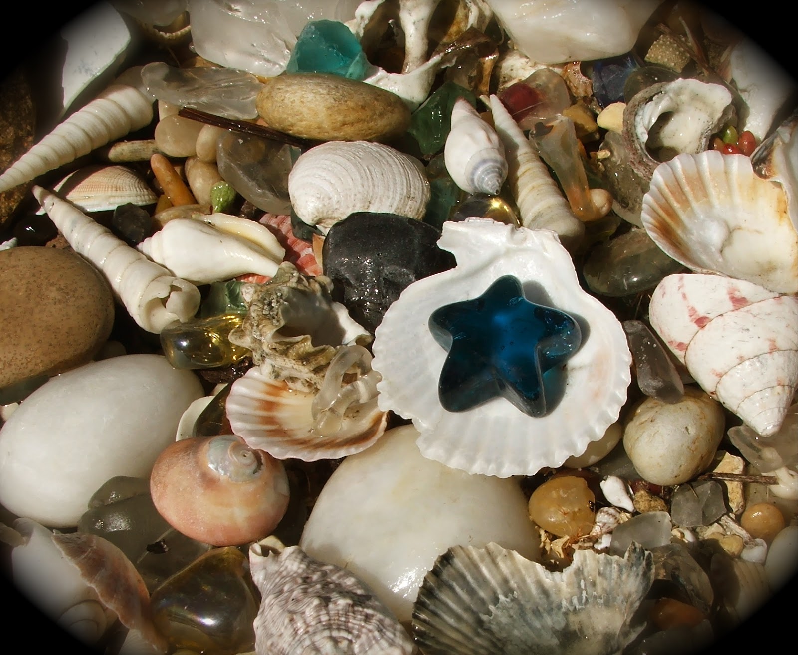 Garden and Bliss: Ocean Theme Landscaping Gallery of Photos