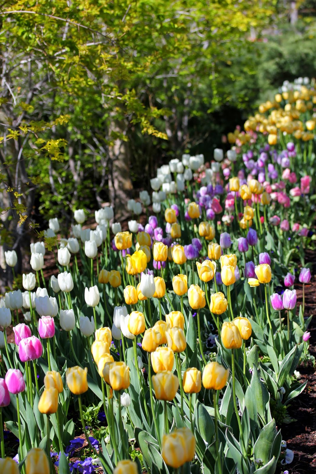 Jill's World of Research, Reaction and Millinery: A Colorful Weekend ...