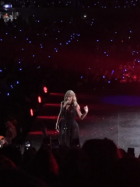 My Taylor Swift Reputation Tour Experience | Royally Pink
