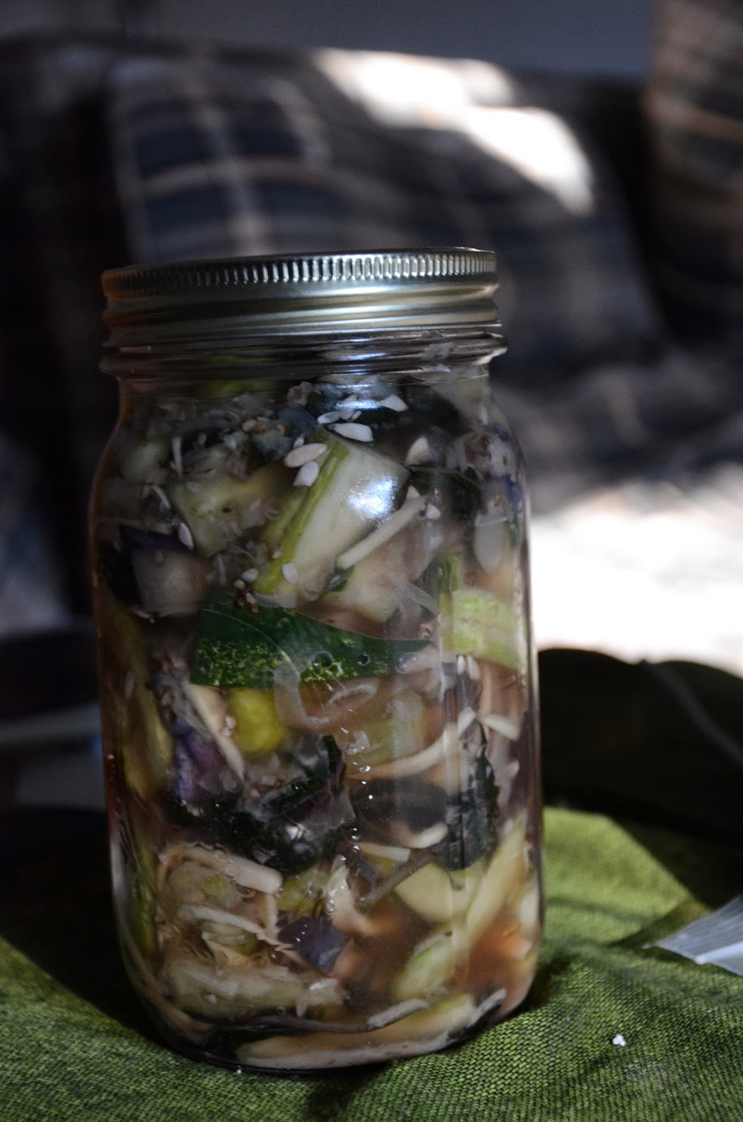 Sojourner Food: Shibazuke しば漬け