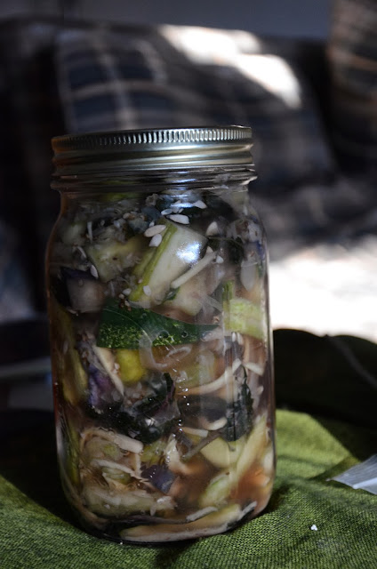 Sojourner Food: Shibazuke しば漬け