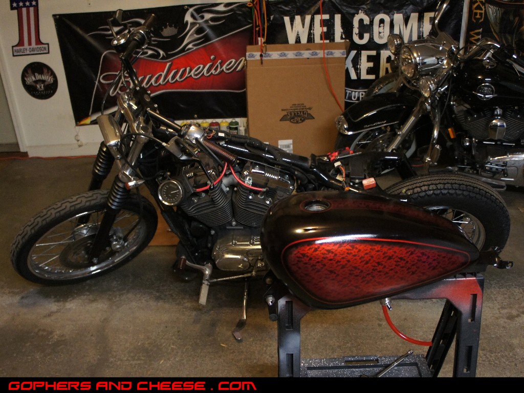 Gophers and Cheese: 2012.05