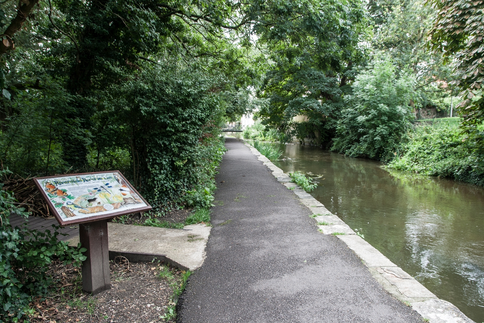 Walking Dorset's gridsquares: Frome Valley Trail - Part 3 - Dorchester ...