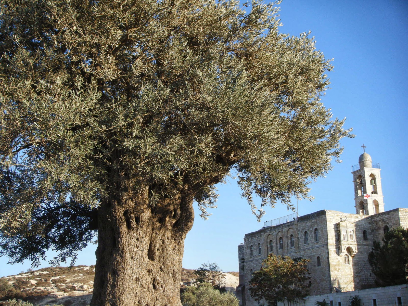 Love For His People: His Creative Genius, In Glorious Splendor and ...