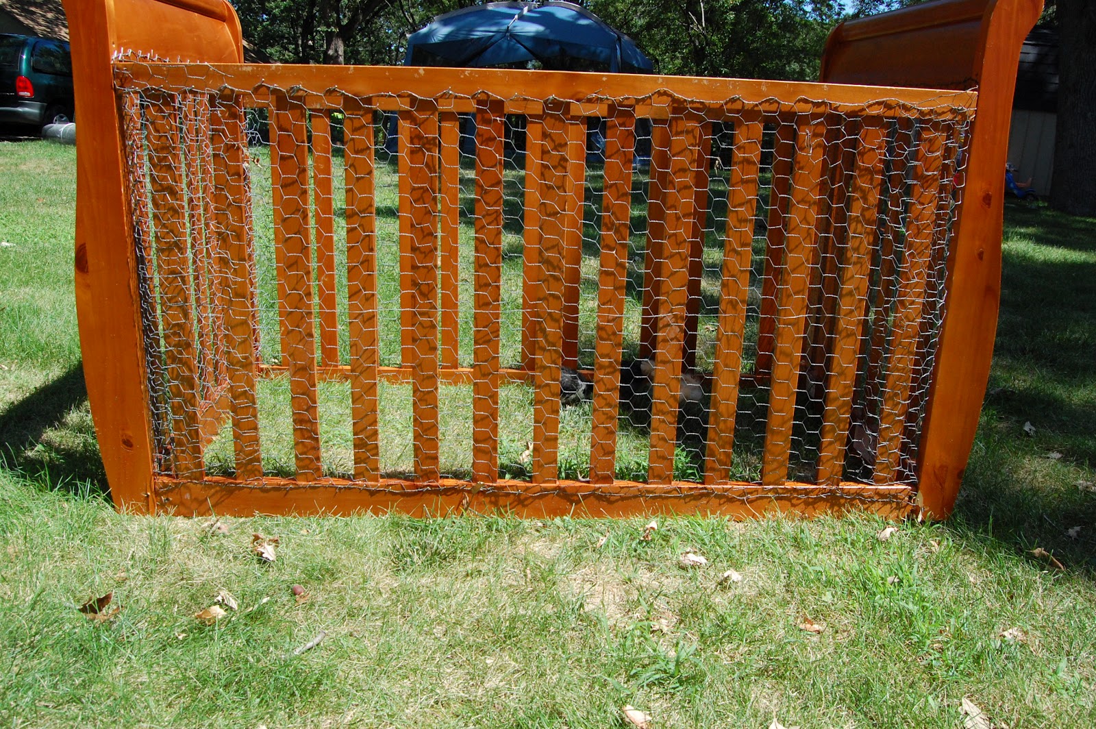 Underground Chickens: Peeps in their crib