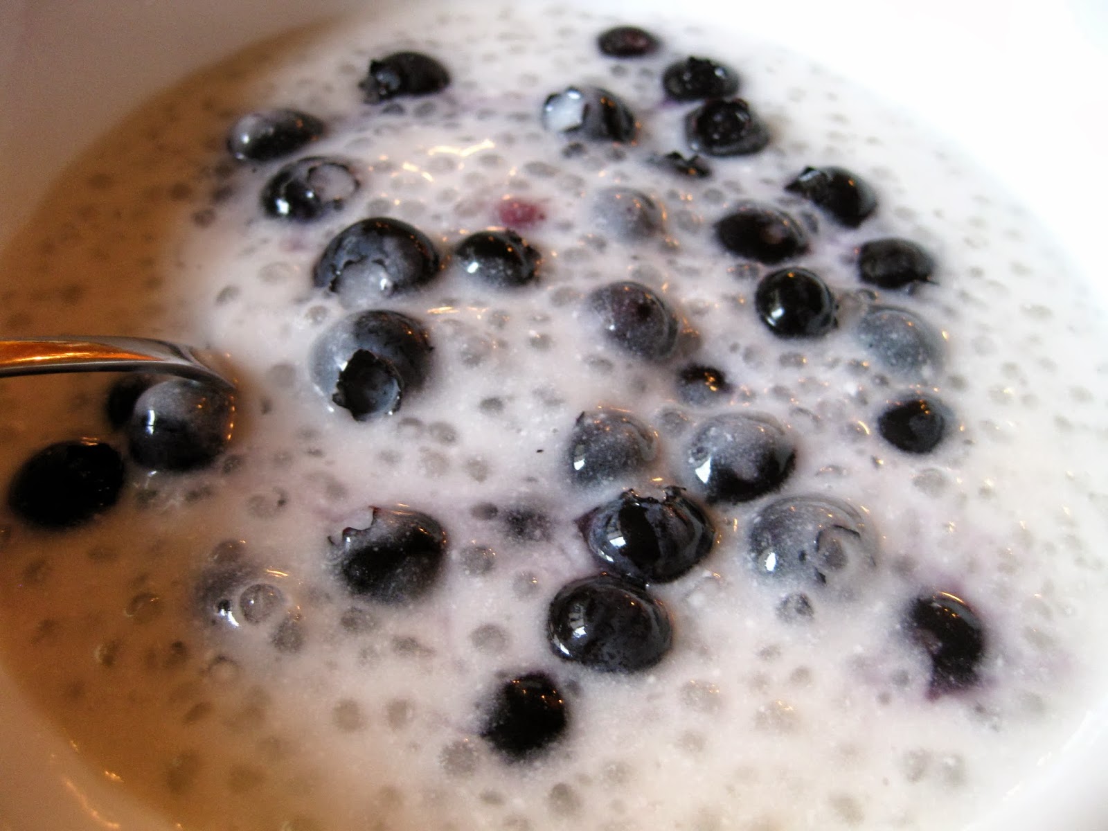 Oishikatta 美味しかった: Breakfast Tapioca Porridge (Gluten Free)