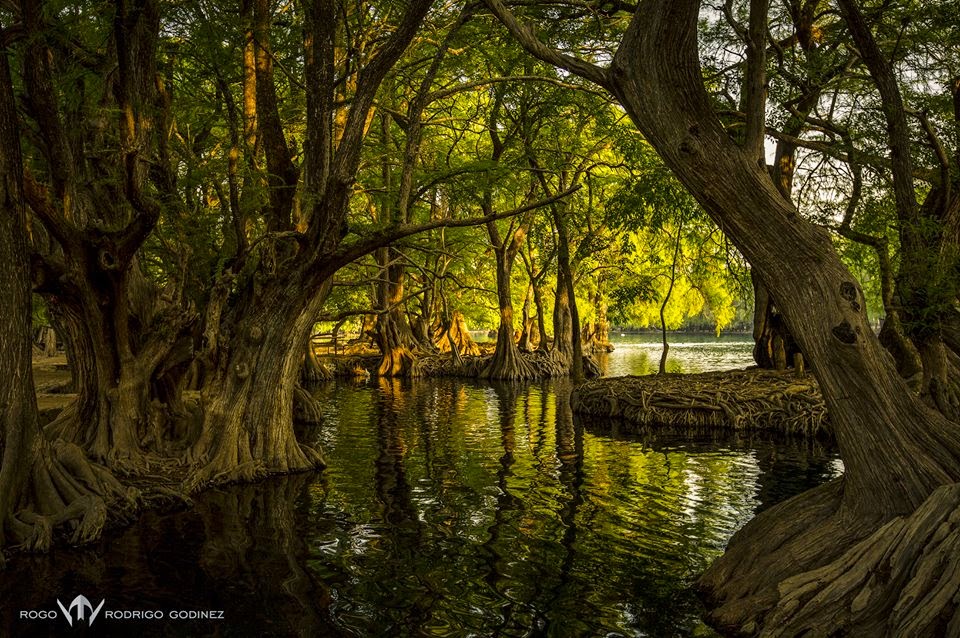 Jaime Ramos Méndez: Lagos de Michoacán - Camécuaro, en el municipio de ...